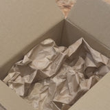 Ultimate Weight Control: 5 Most Clinically-Backed Weight Loss Nutrients ...